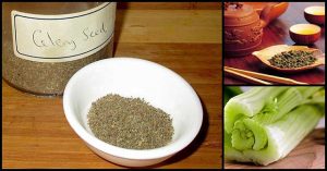 The Amazing Benefits Of Celery Seed Tea To Our Overall Health | Dr ...