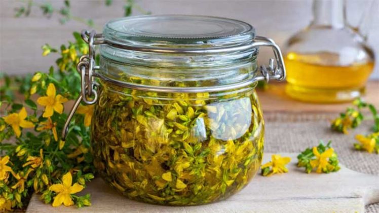 9 of the World’s Most Popular Herbal Medicines | Dr Farrah MD