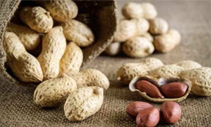 Peanuts Improve Cognitive Function and More, But Some People Should ...