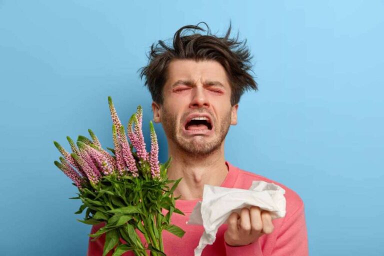 What Is Hay Fever Dr Farrah MD What Is Hay Fever Dr Farrah MD