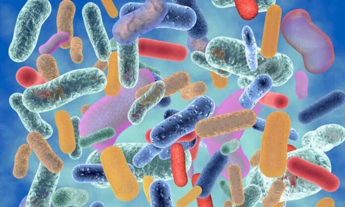 Why Scientists Are Obsessing Over the Bugs in Our Stool | Dr Farrah MD