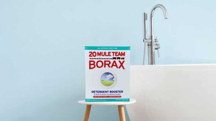 Can Bathing in Borax Really Cure Inflammation, Pain, and Toxins — and ...