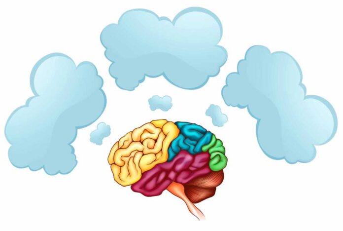 Brain Fog: 5 Potential Causes And How To Treat It | Dr Farrah MD