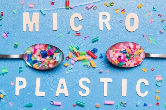 The Potential Impact of Microplastics on Major Organs, Including the ...