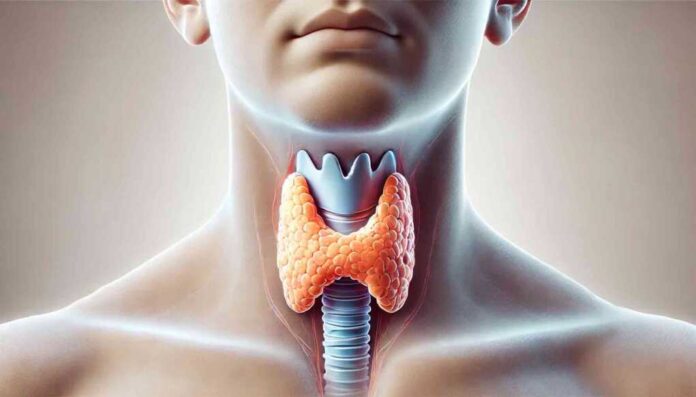 Thyroid Health 101: Maintaining Balance and Avoiding Damage | Dr Farrah MD