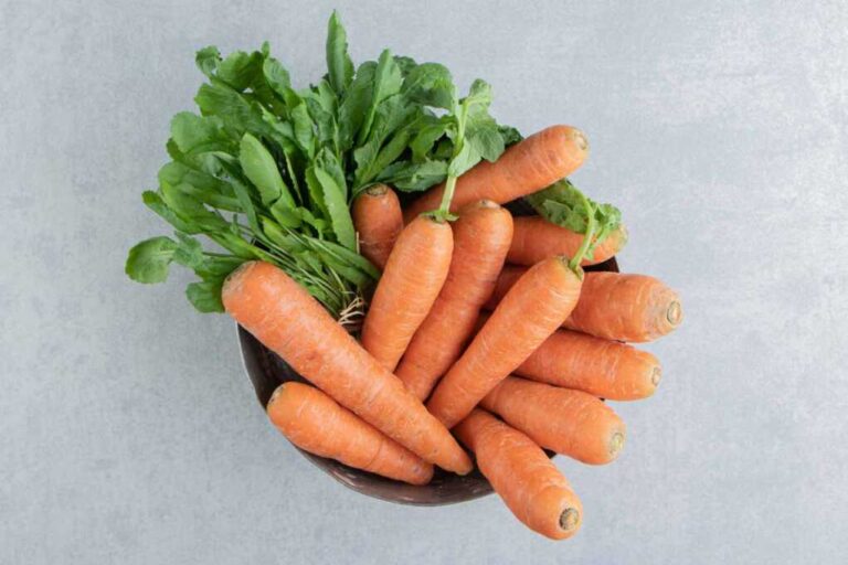 Carrot Fiber Boosts Gut Health and Strengthens Immune Defenses | Dr ...