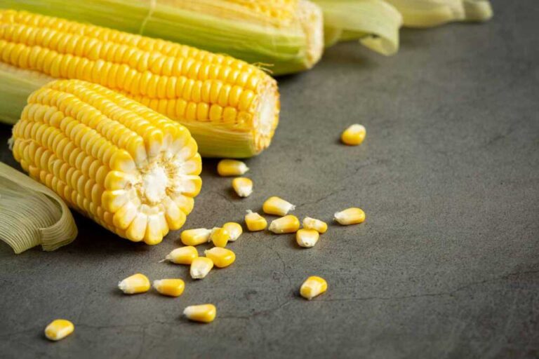 Is Eating Corn Healthy? Pros, Cons, and How to Enjoy It Smartly | Dr ...